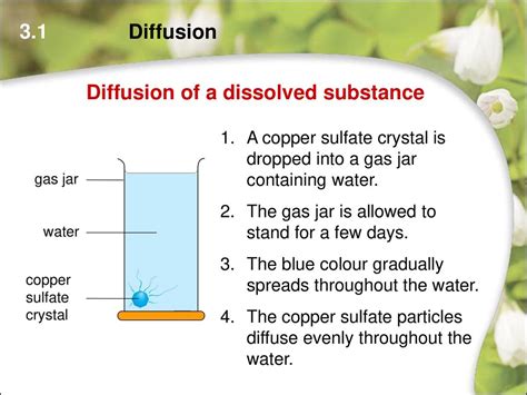 Movement Of Substances Ppt Download