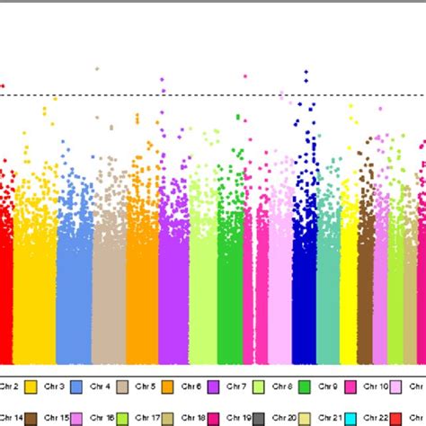 manhattan plot of the association results the log10 p values from the
