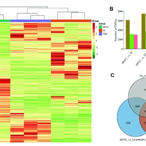 Summary Of Rna Seq Data And Mapping Metrics Of Three Contrasting