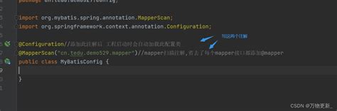 Springboot Xml写mapperand设置自动提示idea 20232 设置springboot项目中对mapper Xml文件语法提示 Csdn博客