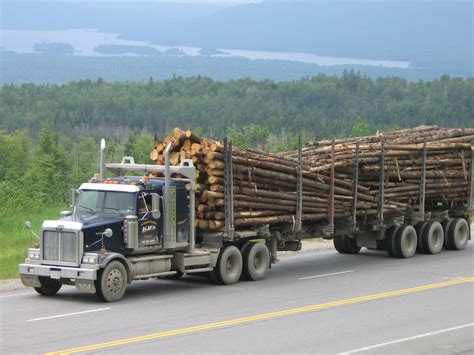 Logging Trailers Can Be Utilised For A Range Of Different Operations