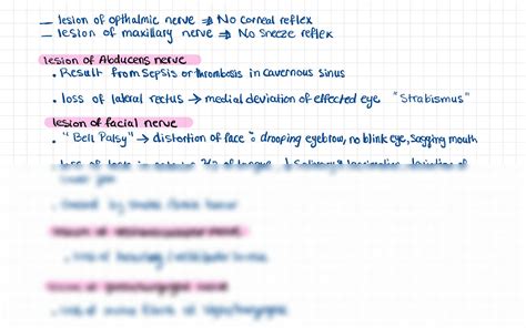 SOLUTION Head Neck Anatomy Review Studypool