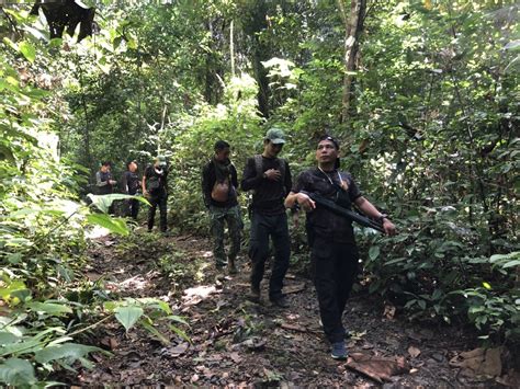 หน่วยฯ ยล ๒ ปะแต ออกตรวจลาดตระเวนพื้นที่ป่าสงวนฯป่าลาบูและป่าถ้ำทะลุ ท้องที่ บ เขาหัวช้าง ต ปะ
