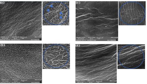 Figure 8 From Fabrication Of Core Shell Type Alginatecnt Composite