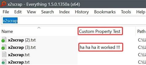 A Custom Windows Property In Everything Voidtools Forum