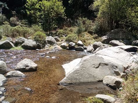 ¿qué Hacer En El Parque Los Dinamos Descubre México