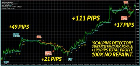 Forex Scalping Software Download 2025