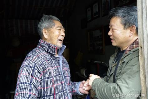 非遺專家拜訪木拱橋工藝傳承人探討國寶廊橋修復問題 每日頭條