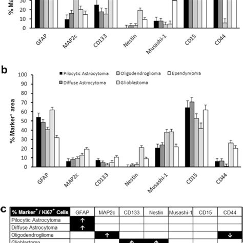 the expression profiles of proliferating and non proliferating cells