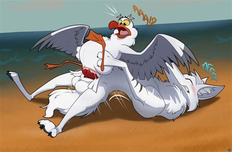 Rule 34 Animal Genitalia Animal Penis Arctic Fox Avian Balls Bar