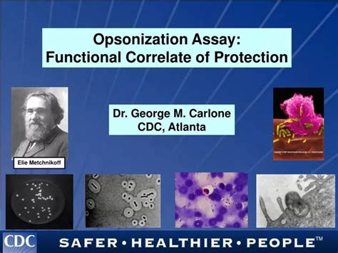 Ppt Opsonization Assay Functional Correlate Of Protection Powerpoint Presentation Id 1135708