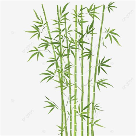 대나무 벡터 대나무 대나무 잎 공장 Png 일러스트 및 이미지 에 대한 무료 다운로드 Pngtree