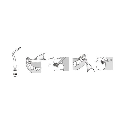 Insert Dentaire Sb1 Compatible Ems Insert Dentaire