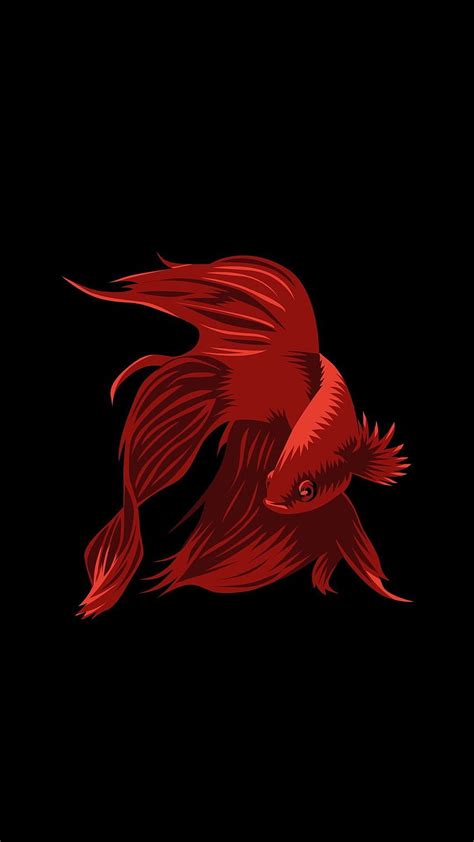 Redfish Hd Wallpaper Pxfuel