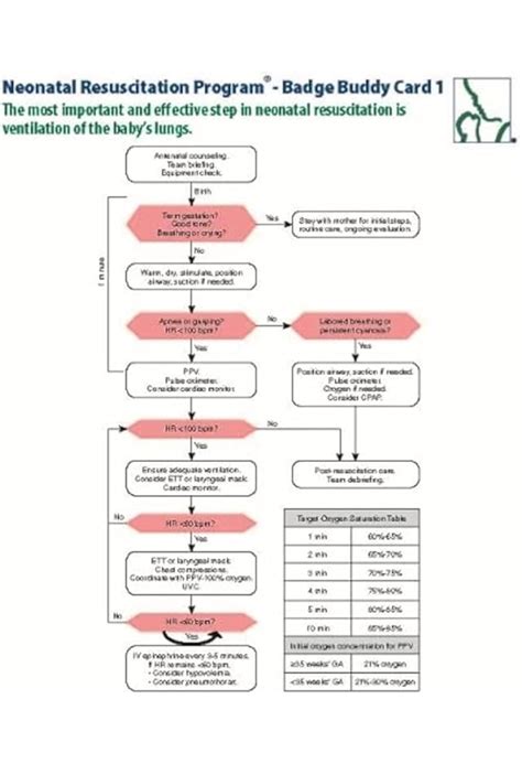 Nrp 8th Ed Algorithm W Logos Aha Aap Pdf Cardiopulmonary 50 Off