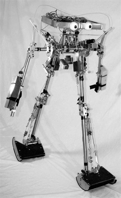 12 A Passive Dynamics Based Walker Left And The Passive Walker Mike