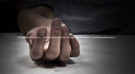 പെരുമ്പാവൂരില്‍ യുവാവിന്റെ വെട്ടേറ്റ് ചികിത്സയിലായിരുന്ന പെണ്‍കുട്ടി