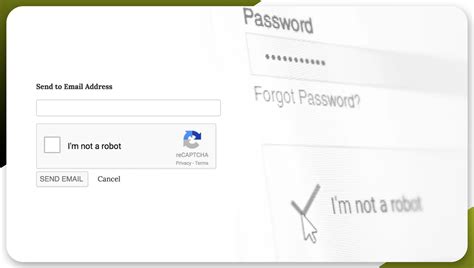 Scraping Chewy Product Data Get Insights With Web Scraping
