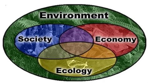 Difference Between Environment And Ecosystem 2023