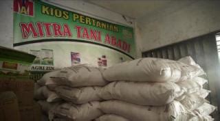 Alokasi Pupuk Subsidi Ditambah Jatahnya Untuk Petani Kategori Ini
