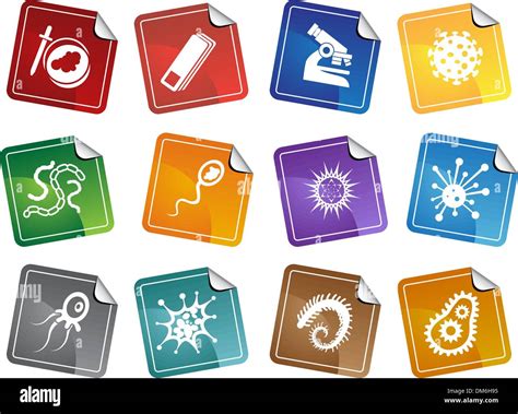 Microscopic Organisms Stock Vector Images Alamy