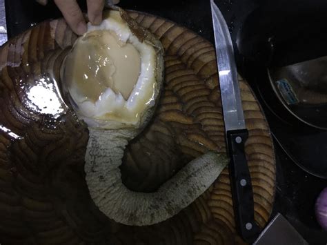 象拔蚌刺身怎么做 象拔蚌刺身的做法 豆果美食