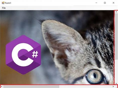 How To Create Scrollable Picturebox Control In C Devindeep