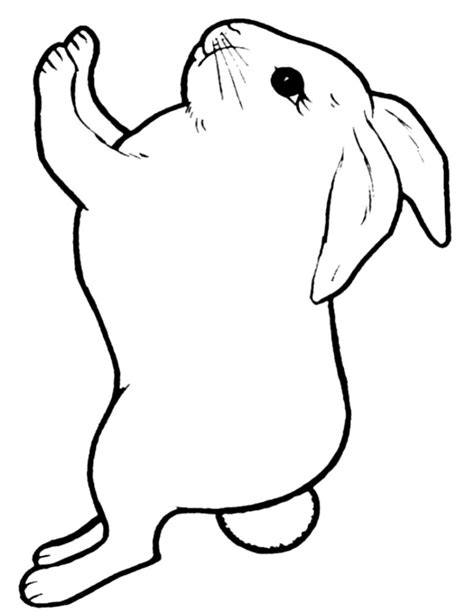 Rabbit Running Coloring Page