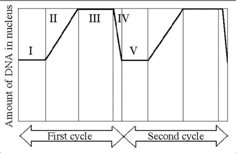 Chapter 12 13 Practice Questions Diagram Quizlet