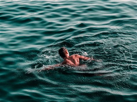 transfer learning in nlp — part 2 by pratik bhavsar modern nlp medium