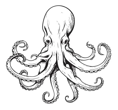 Squid Ink Sketch Isolated On White Background Hand Drawn Illustration