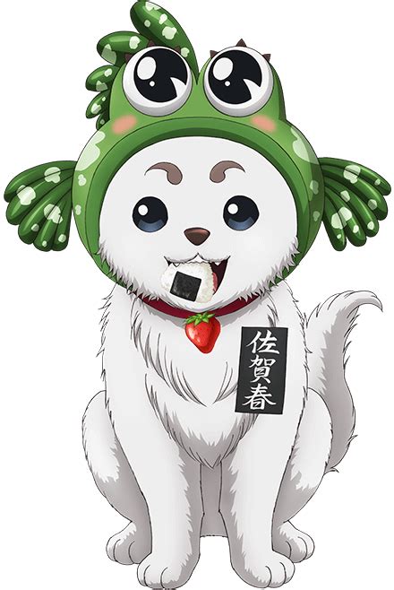 佐賀県銀魂 佐賀春プロジェクト