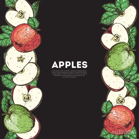 Apple Hand Drawn Illustration Apple Sketch Vector Illustration • Wall