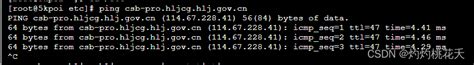 Linux之 服务器ping百度能通，ping其他网址不通linux Ping 百度可以ping其他 Csdn博客