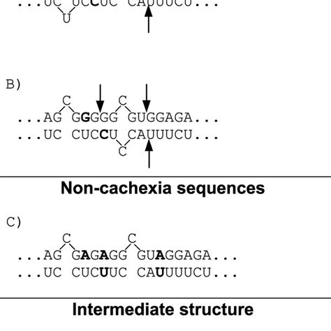 Sscp Analysis Of Dna Rt Pcr From Uninoculated Control 1 And Hsvd
