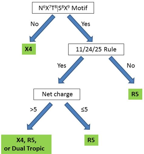 flow chart for prediction of hiv 1 coreceptor selectivity based on v3