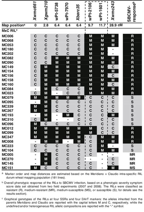 Ssr And Dart Marker Based Graphical Genotypes Of 31 Meridiano 9 Claudio Download Scientific