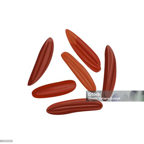 흰색 배경에 고립 된 붉은 쌀 쌀 씨앗의 벡터 일러스트레이션 음식 아이콘입니다 0명에 대한 스톡 벡터 아트 및 기타 이미지