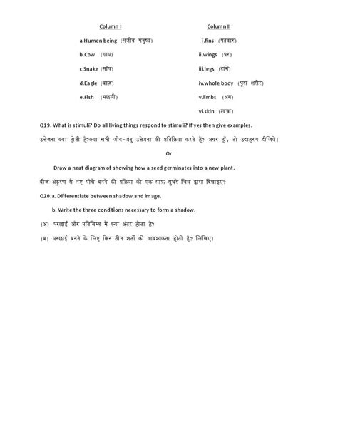 Class 6 Science Sample Paper 2025 Pdf Latest Practice Model Question