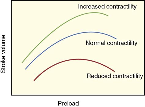 Valvular Heart Disease Clinical Tree