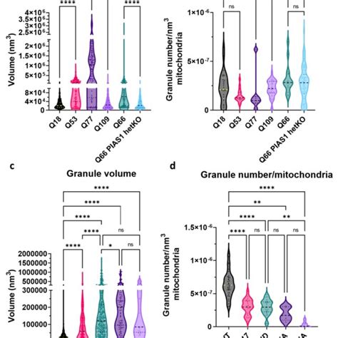 Artificial Intelligence Ai Based 3d Quantification Of Mitochondrial Download Scientific