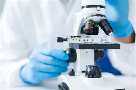 Analyses Microbiologiques Réseau De Laboratoire Upscience