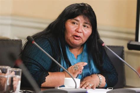 Diputada Nuyado Exige Explicaciones Por Allanamiento A La Comunidad