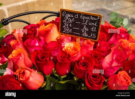 Roses For Sale In Paris Flower Shop With Labels Displaying Euros Stock