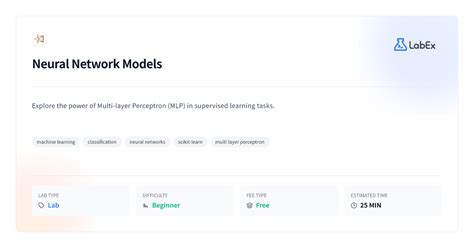 Mastering Neural Network Models Labex