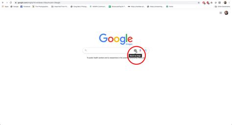 Reverse Image Search On Google How And Why NANPA