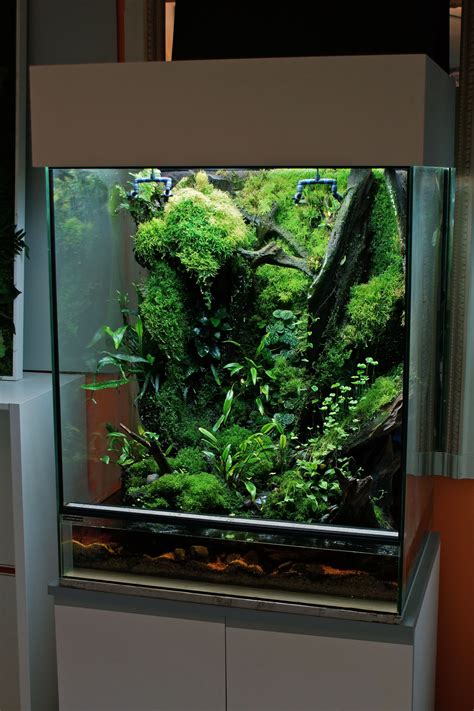 Connexion Aquariums Aquarium Maison Terrarium Reptile
