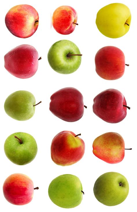 Top 9 Types Of Apples You Should Know Apple Red Delicious Apples
