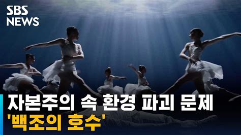 자본주의 속 환경 파괴 문제백조의 호수 Sbs 문화현장 Youtube