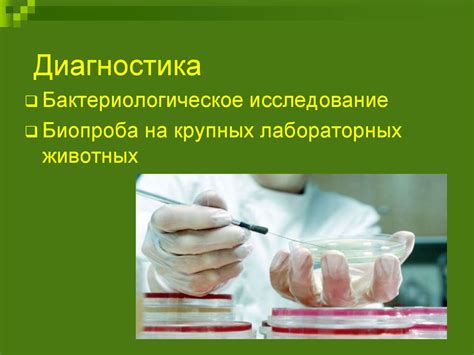 Пищевые бактериальные токсикозы и их профилактика презентация онлайн